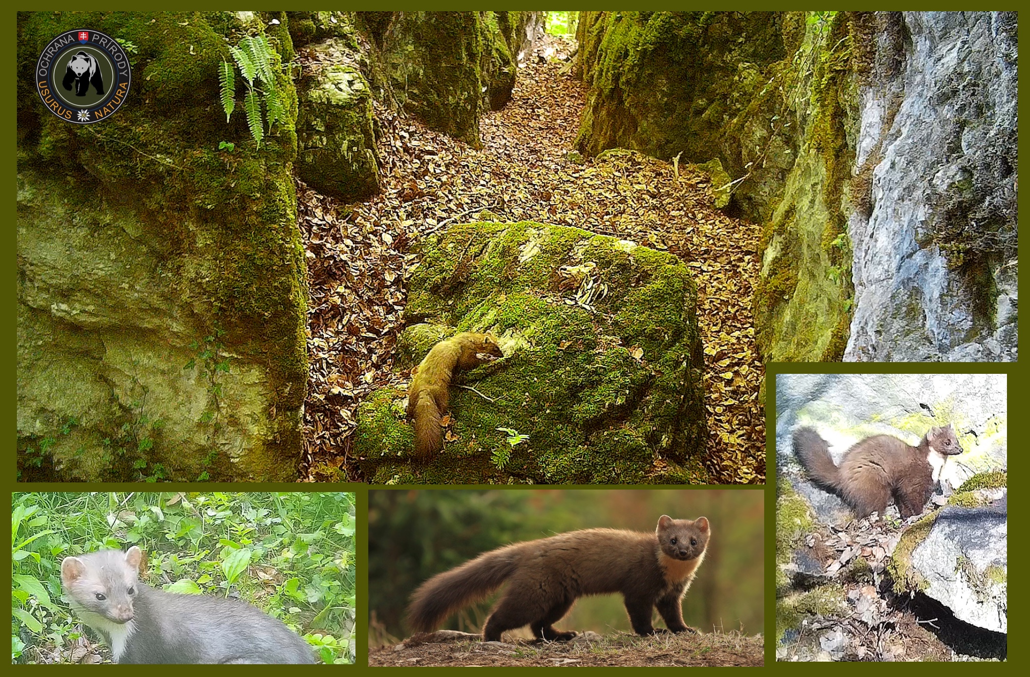 Naše zvieratá - Ochrana prírody USURUS NATURA